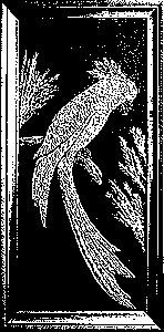 Crop Art Gallery | Lillian Colton | Big Parrot