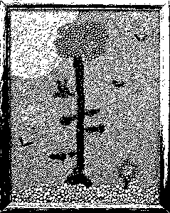 Crop Art Gallery | Nathan Timmons | Tree and Birds