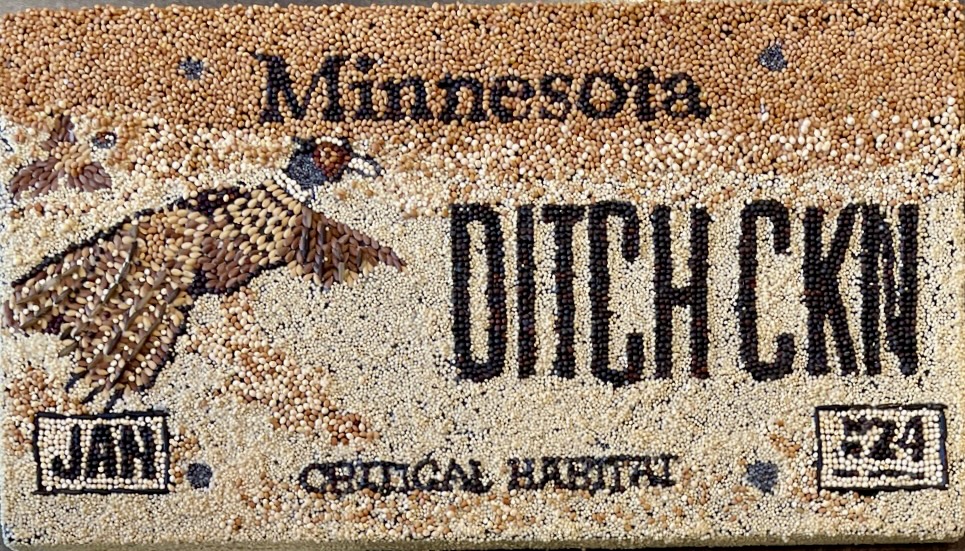 Larisa Brandt | MN Ditch Chicken